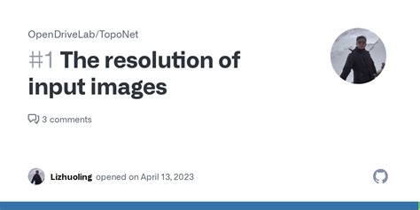 the resolution of input images · issue 1 · opendrivelab toponet · github
