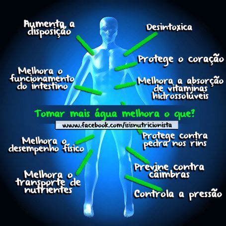 Neide Furukawa Blog Crescendo e Vivendo Água é saúde