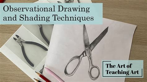 Observational Drawing Skills