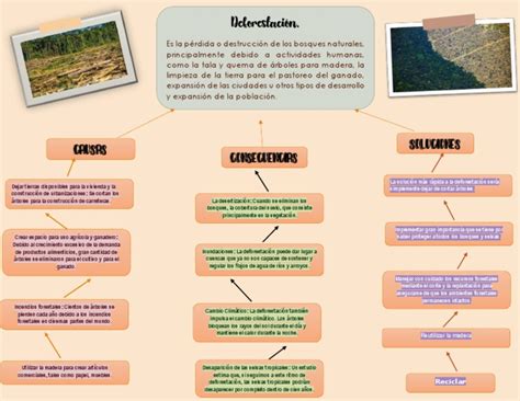 Mapa Conceptual Deforestacion Pdf Deforestación Los Bosques
