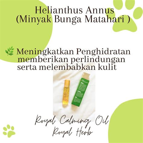 6 Kelebihan Minyak Urut Buang Angin Royal Herb Calming Oil Sesuai Untuk