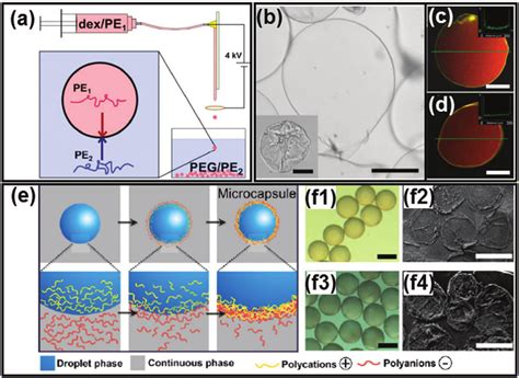 All Aqueous Interfacial Complexation Via Electrostatic Interactions A Download Scientific