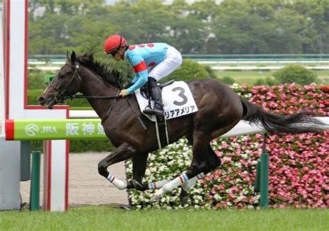 アルテミスステークス2019｜最終予想｜10月26日土東京11r｜本命馬は能力最上位で黄金コンビのアノ馬から穴馬も絡めて馬単で勝負