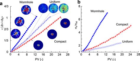 Evolution Of A The Average Aperture Growth And B The Standard
