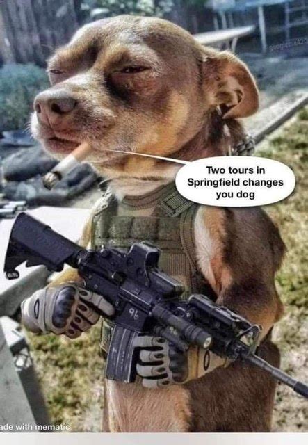The More The Press Debunks The Illegals Eating Cats Reports The More