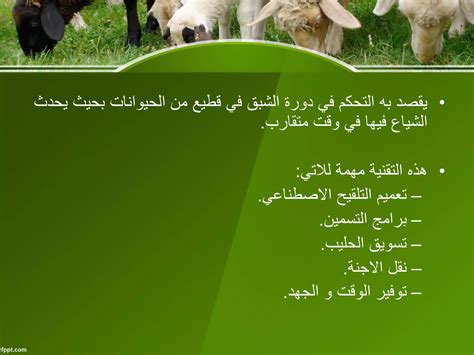 Oestrus Synchronisation ‏‏تزامن الشبق Ppt