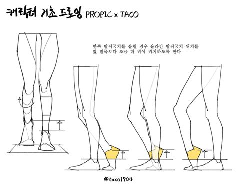 20 Media Tweets By 타코작가 Taco1704 Twitter Anatomy Sketches