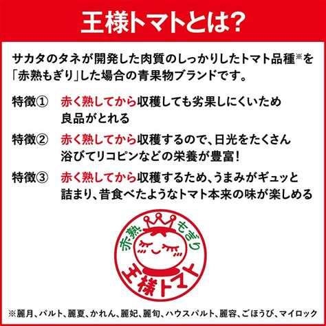 大玉トマト かれん（primax 千粒） みどり屋
