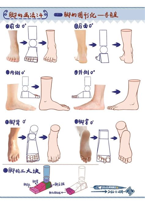脚的画法4脚的图形化 各种角度 1 BiuBiu九头蛇柏 来自小红书网页版