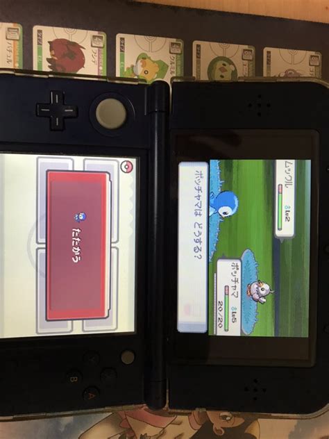 【ポケモンgo】ポッチャマの色違い、 入手方法と実装状況 攻略大百科