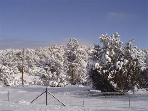 Our 1st Winter In Show Low A Snowy Adventure