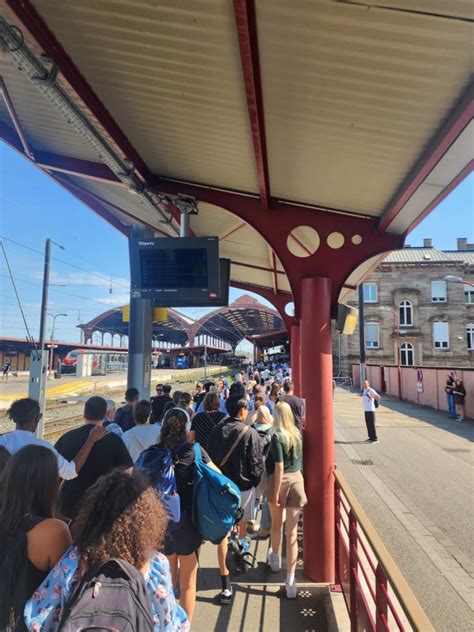 프랑크푸르트 근교여행 스트라스부르 콜마르 당일치기 Feat 스트라스부르 가는방법 여행코스 일정 네이버 블로그