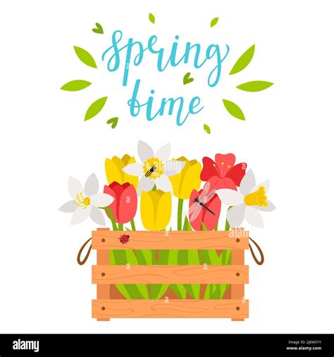 Wooden Box With Spring Flowers Tulips Daffodils Dragonfly Bee The
