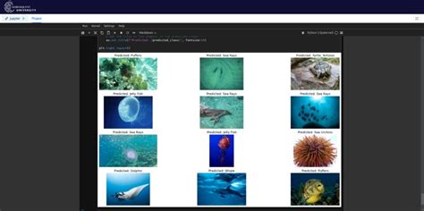 hamdani alhassan gandi on linkedin deeplearning computervision ai