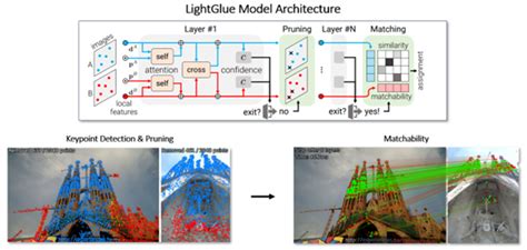 Data For Good Galapagos Sea Turtle Recognition The Sas Data Science Blog