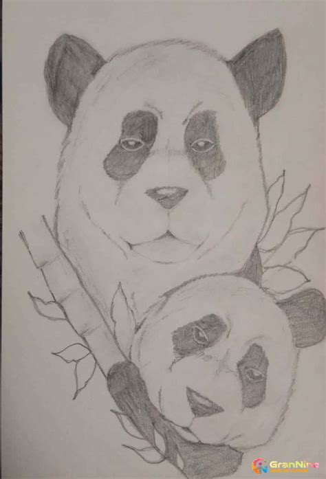 Panda Drawing My Sketch Please Do Like Share And Comment Pan Grannino