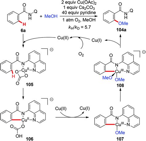 Recent Advances In Copper Mediated Chelation Assisted Functionalization