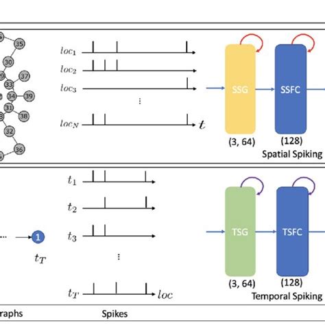 Figure The Structure Of The Hybridlifgnn Where Ssg Is The Spatial Download Scientific
