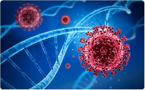 Virus Definition Discovery Characteristics And Structure Plantlet