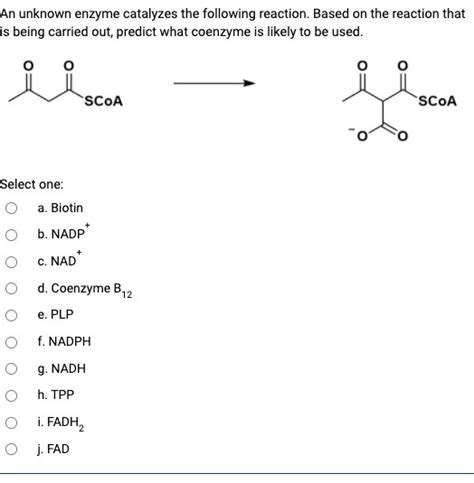 Solved An Unknown Enzyme Catalyzes The Following Reaction