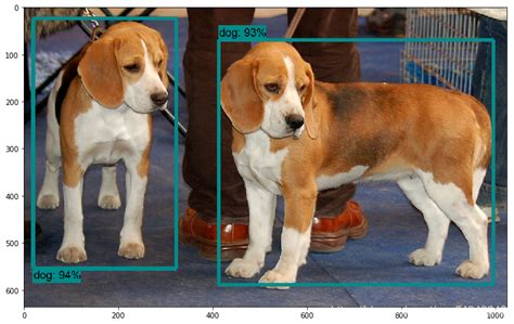 使用tensorflow Object Detection Api进行目标检测 Wind·chaser 博客园