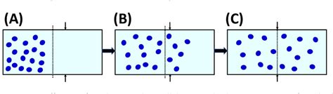Figure 2 From Diffusiophoresis Of Macromolecules Within The Framework