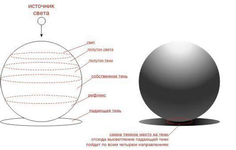 Pin On Правила рисования In 2024 Easy Drawings Anatomy Sketches
