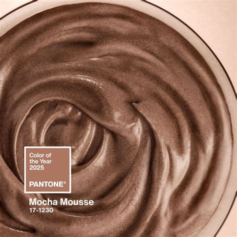 Pantone Color Of The Year 2025 Pantone Mocha Mousse Mocha Pantone Color Of The Year