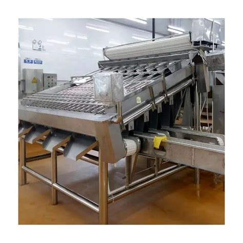Cheap Shrimp Washing Grading Production Line Industrial Shrimp Sorting