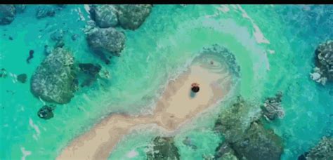 Moana  Moana Discover And Share S