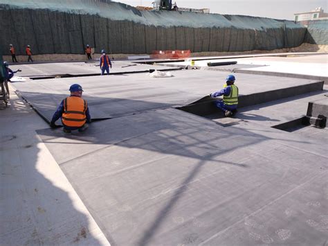 Zaid Ayoub Posted On Linkedin