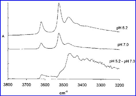 Ftir Spectrum Of Gibbsite Samples At Ph 5 2 And Ph 7 0 As Well As A Download Scientific