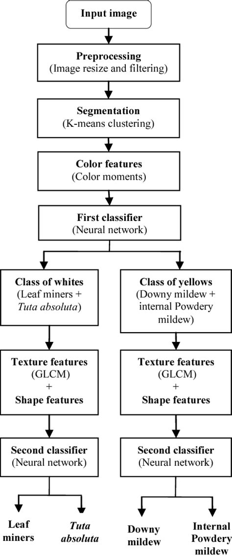 figure 1 from serial combination of two classifiers for automatic
