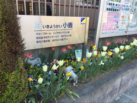 有限会社生陽会 デイサービスほがらか小鹿の介護タクシードライバー求人パート・アルバイト 静岡県静岡市駿河区（39792）｜医療介護求人
