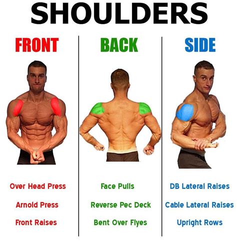 Shredded Shoulders