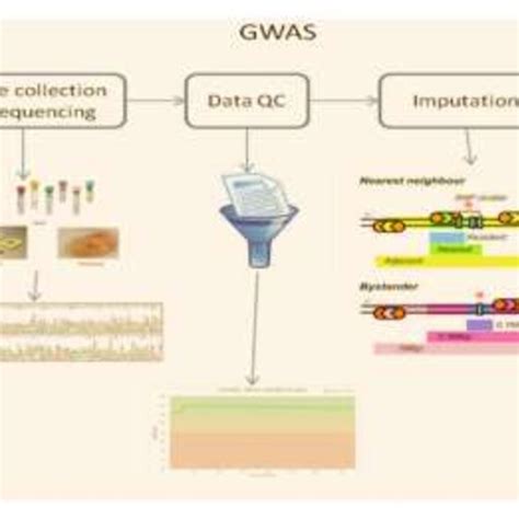 How Gwas Works Encyclopediapubentry1720 Next Generation Download Scientific