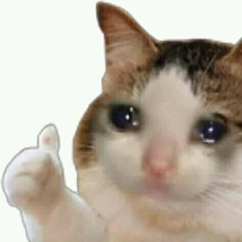 Cat Crying With Thumbs Up
