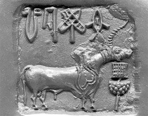Indus Valley Seals