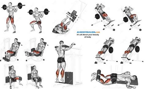 Best Leg Exercises Workout Routine For Men Best Leg Workout Leg Workout