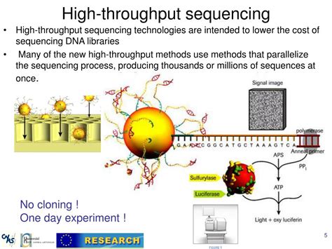 Throughput