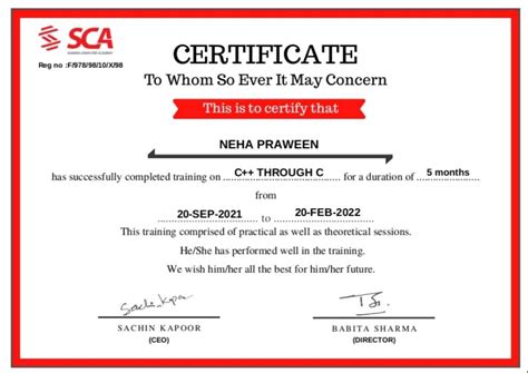 Neha Praween On Linkedin Scalive Sololearn