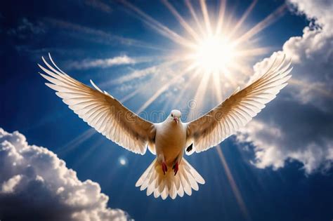 White Dove Flying With Wings Wide Open In Blue Sky Symbol Of Peace