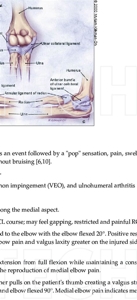Medial Collateral Ligament Anatomy Download Scientific Diagram