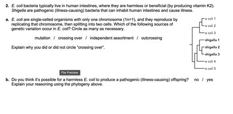 Solved E Coli Bacteria Typically Live In Human Chegg