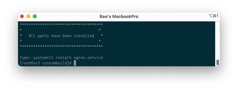 How To Install Nginx Webserver On DirectAdmin With Commands
