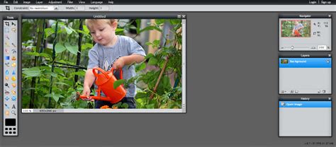 PDF BASICS OF PIXLR EDITOR Weeblybrittanygofney Weebly Com Uploads 4 0 8 4 40840865 Project