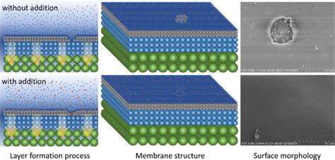 Supposed Effect Of Nanoparticles On The Defect Patching Process Of Download Scientific Diagram