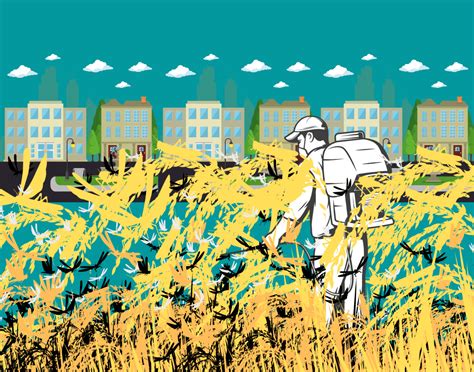 Theres An Insect Population Decline Heres How To Help — Sustainable