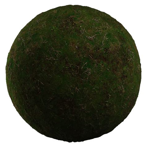 Mossy Wild Grass Pbr Texture A23d