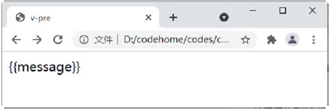 Vue V Pre命令的用法 C语言中文网